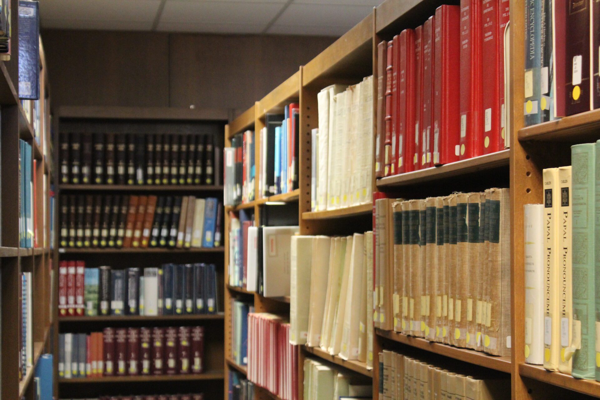 “Fourth Wing”: A Failure of Contemporary Literature | The Cor Chronicle